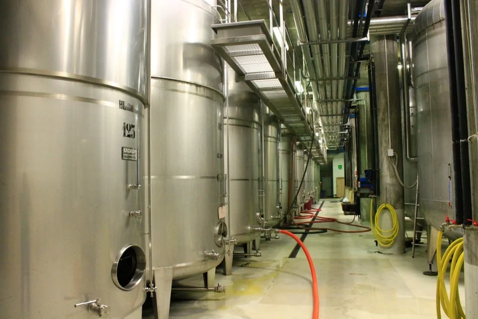 Prosecco wine - Venicegroupservices EN