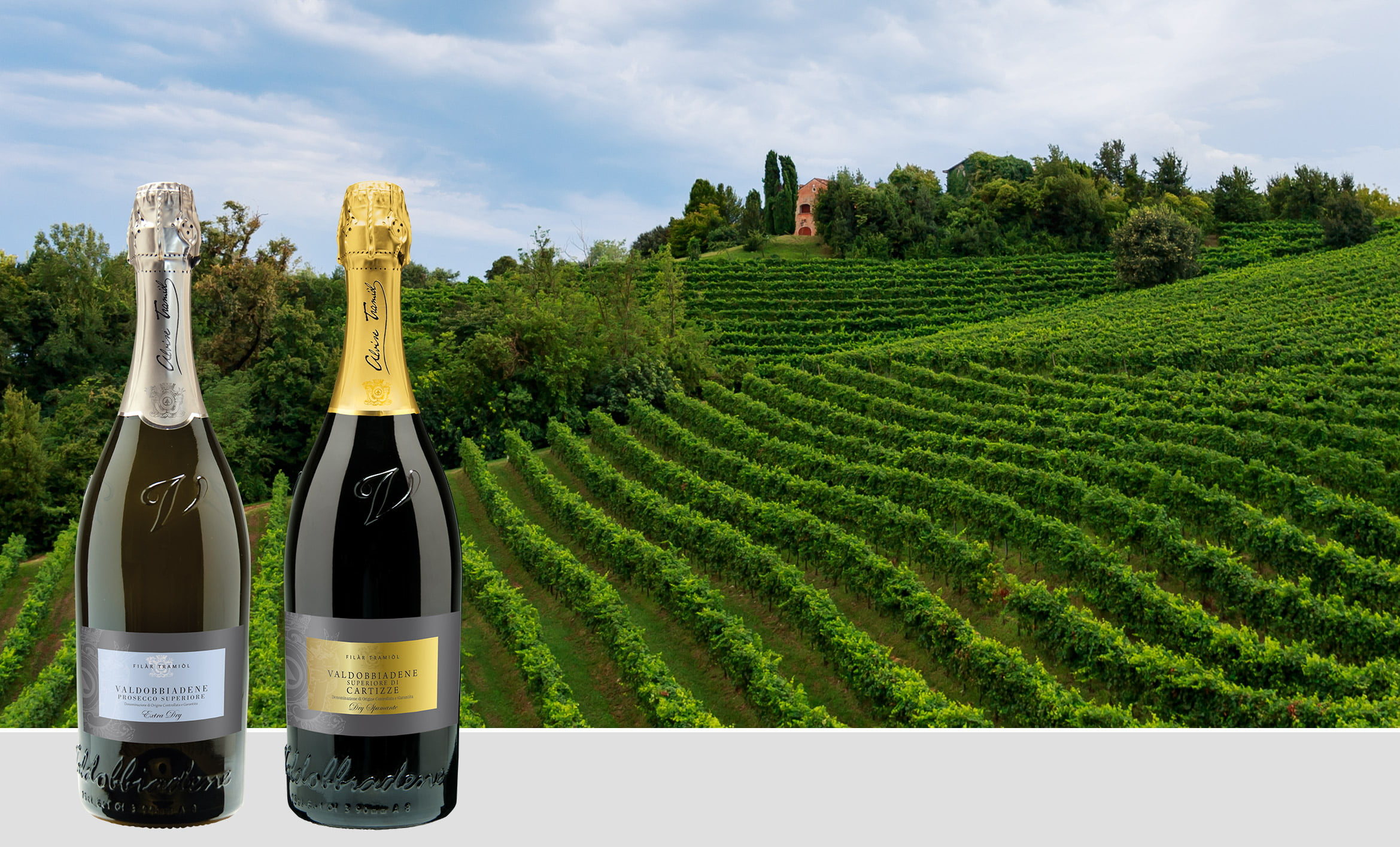 Prosecco wine - Venicegroupservices EN